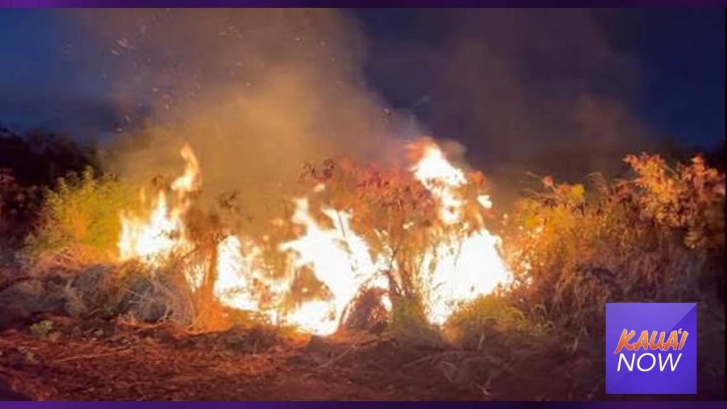 Firefighters extinguish brush fires in Anahola on Friday : Kauai Now