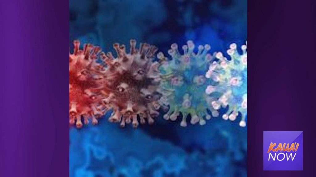12 Cases of Omicron Variant hit O‘ahu : Kauai Now