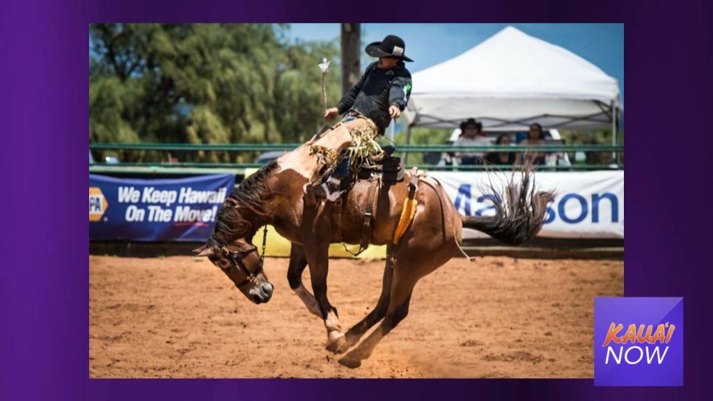 Per Tradition, Rodeo Kicks off Kōloa Plantation Days Festival : Kauai Now