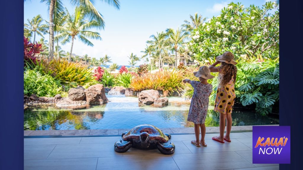 New program to teach keiki about sugarcane in Kōloa : Kauai Now