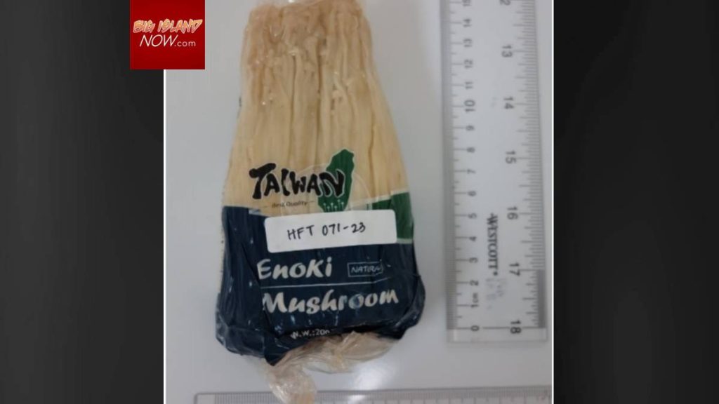 Voluntary recall for enoki mushrooms sold in Hawaiʻi, produced by ...