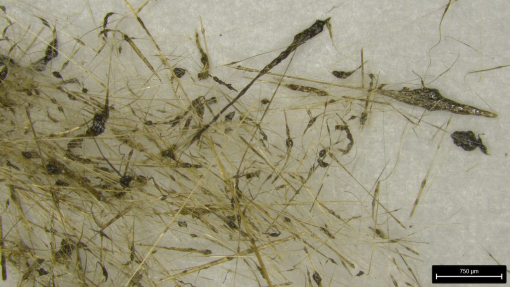 Volcano Watch: Pele’s hairs are a beautiful hazard on the Big Island ...