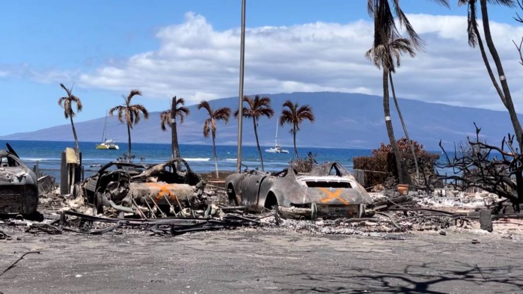 Maui wildfires update: Names of 3 more victims released; search efforts ...