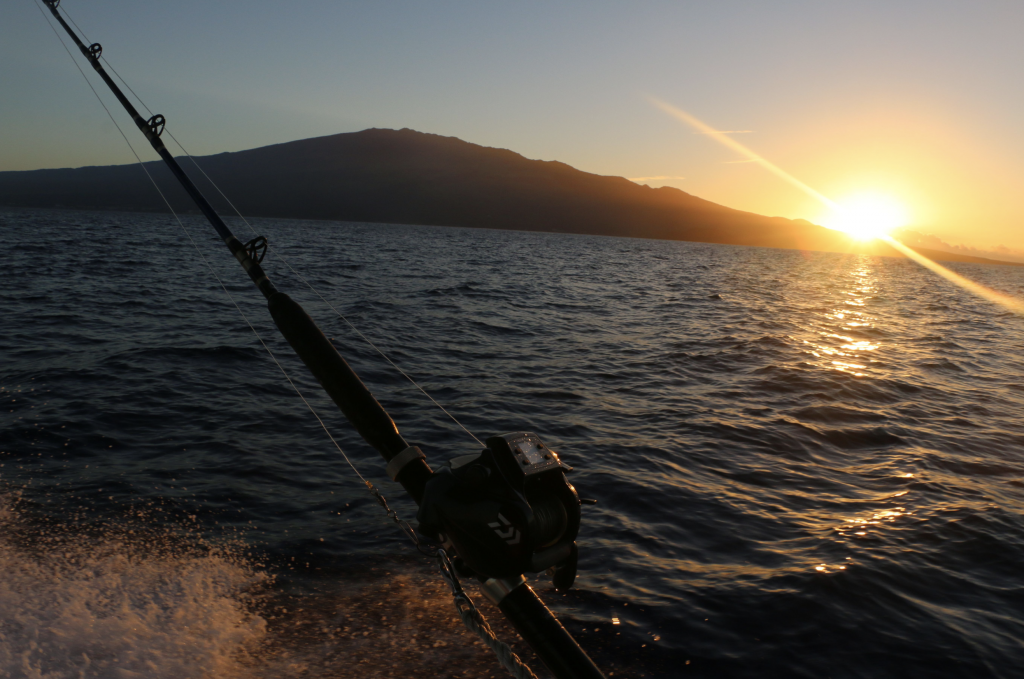 Maui Now : Maui News, Weather, Entertainment & More : Hawaii News