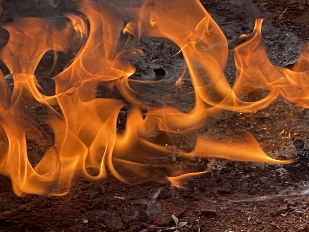 Firefighters extinguish brush fire in Koke‘e Saturday night : Kauai Now