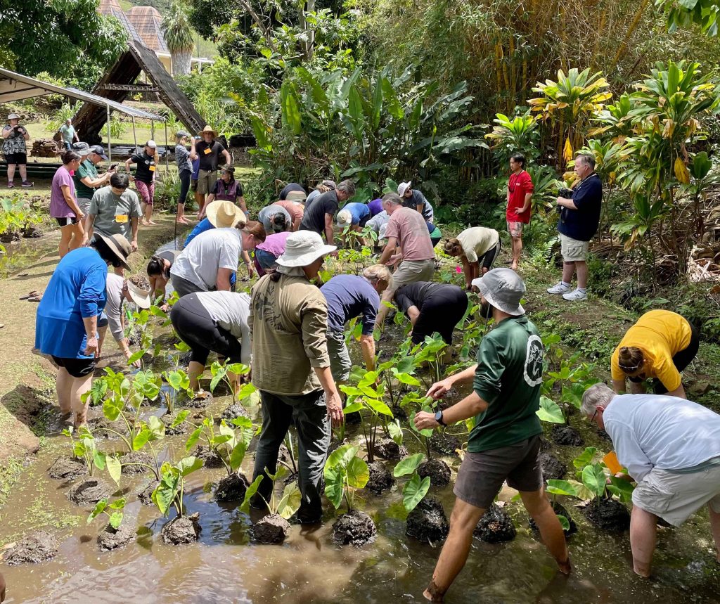 UH Mānoa begins two-year initiative to become a Native Hawaiian place ...