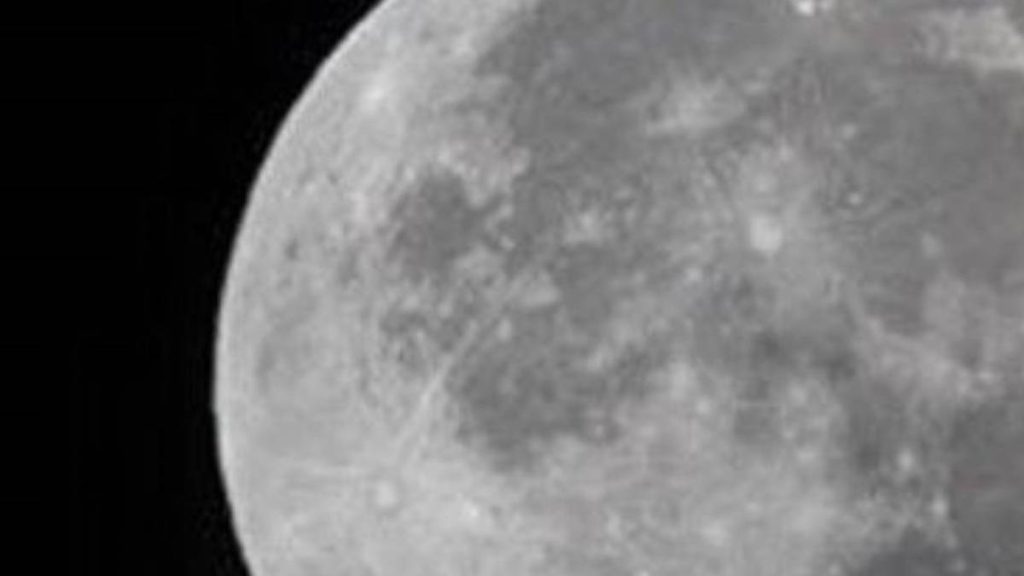 Storing all of Earth’s beastly bunch in the frozen shadows of our lunar ...