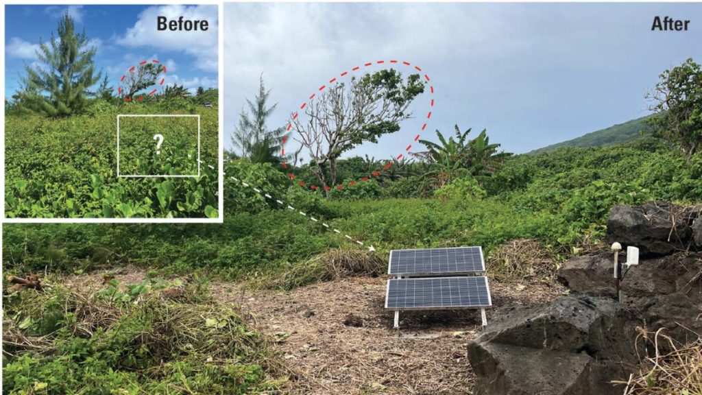 Maui Now : Maui News, Weather, Entertainment & More : Hawaii News