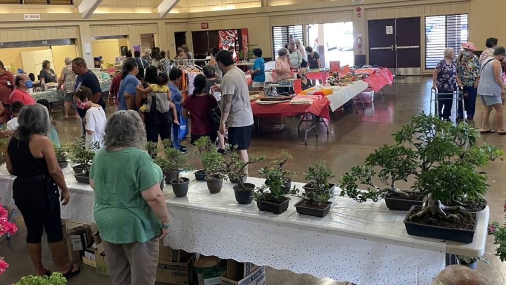 REMEMBER: Crafty kūpuna, bonsai club members come together for senior ...